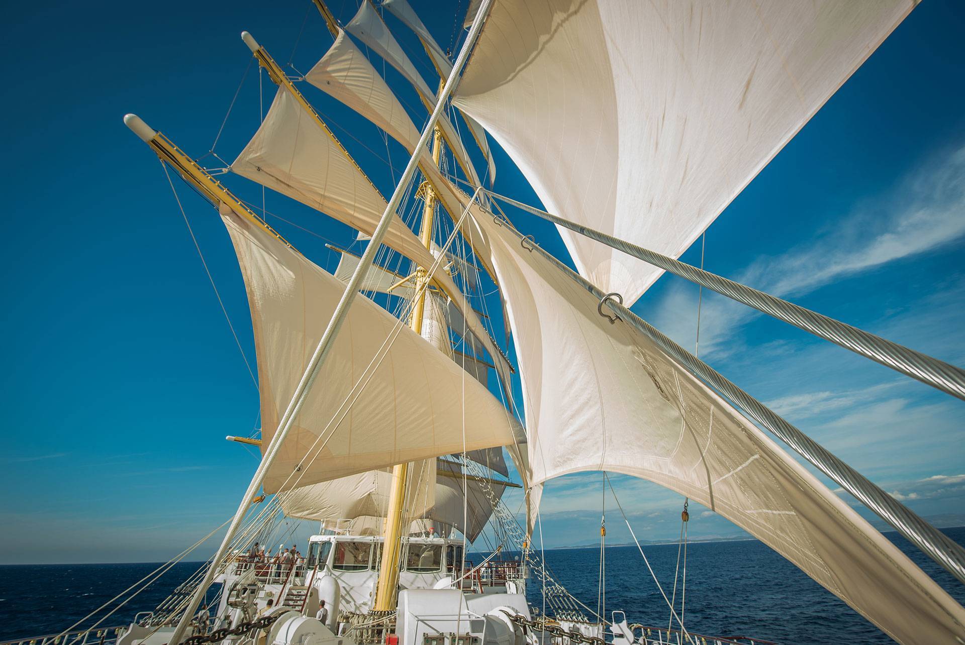 GOLDEN HORIZON - Fleet - DIV Group