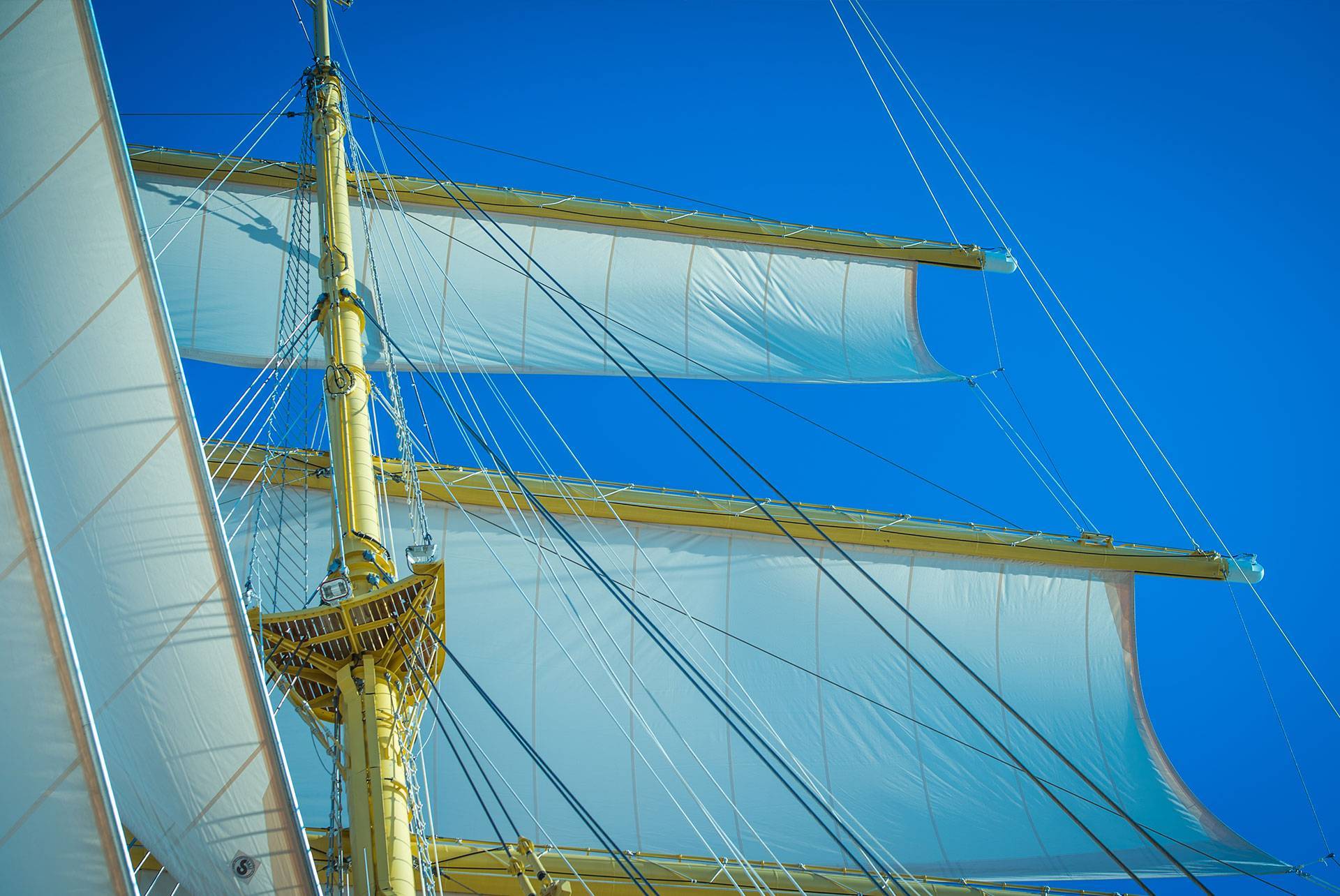 GOLDEN HORIZON - Fleet - DIV Group